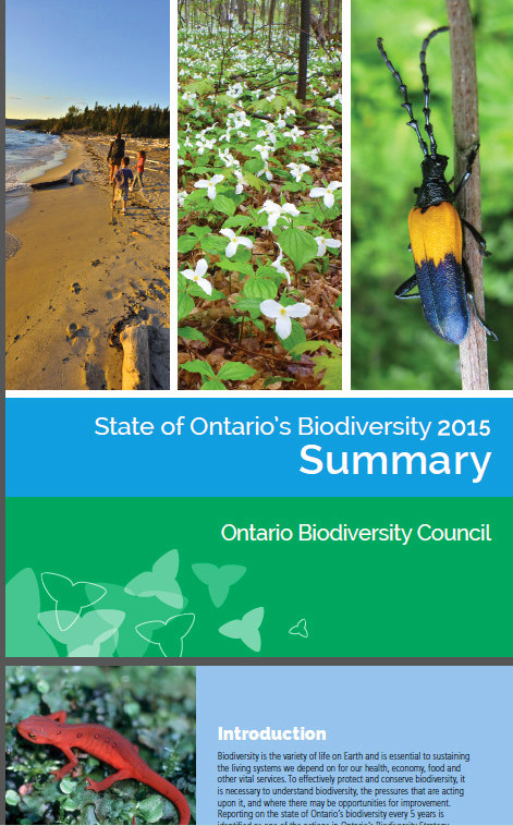 Biodiversity in Ontario | FOCA