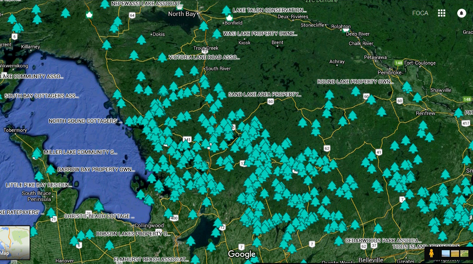 List of Associations | FOCA