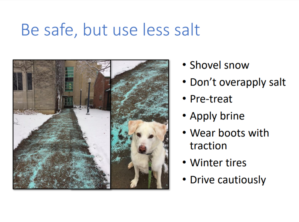 Salt Impacts - FOCA answers Ontario cottage country questions