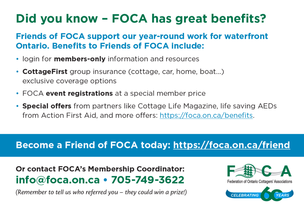 60th Anniversary Celebrations! - FOCA