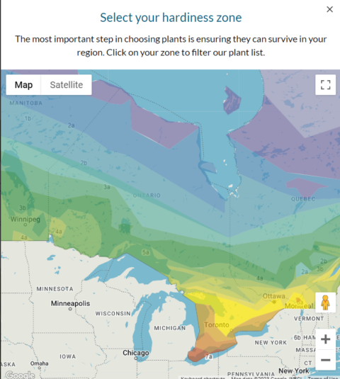 Healthy Shorelines & Lake Stewardship - FOCA answers Ontario cottage ...